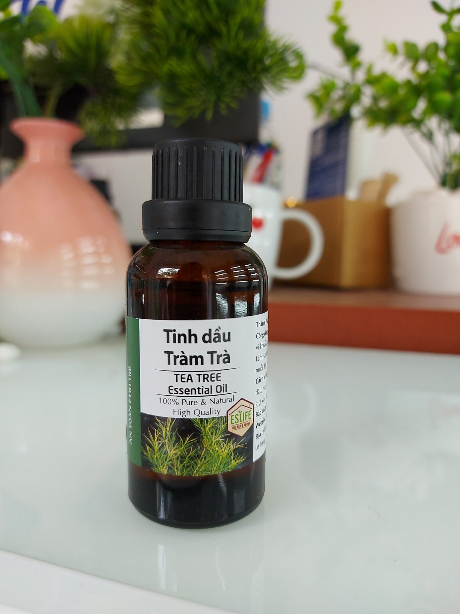 Sỉ Tinh dầu Tràm Trà - Tee Trea Essential Oil - Nhập khẩu Tinh dầu